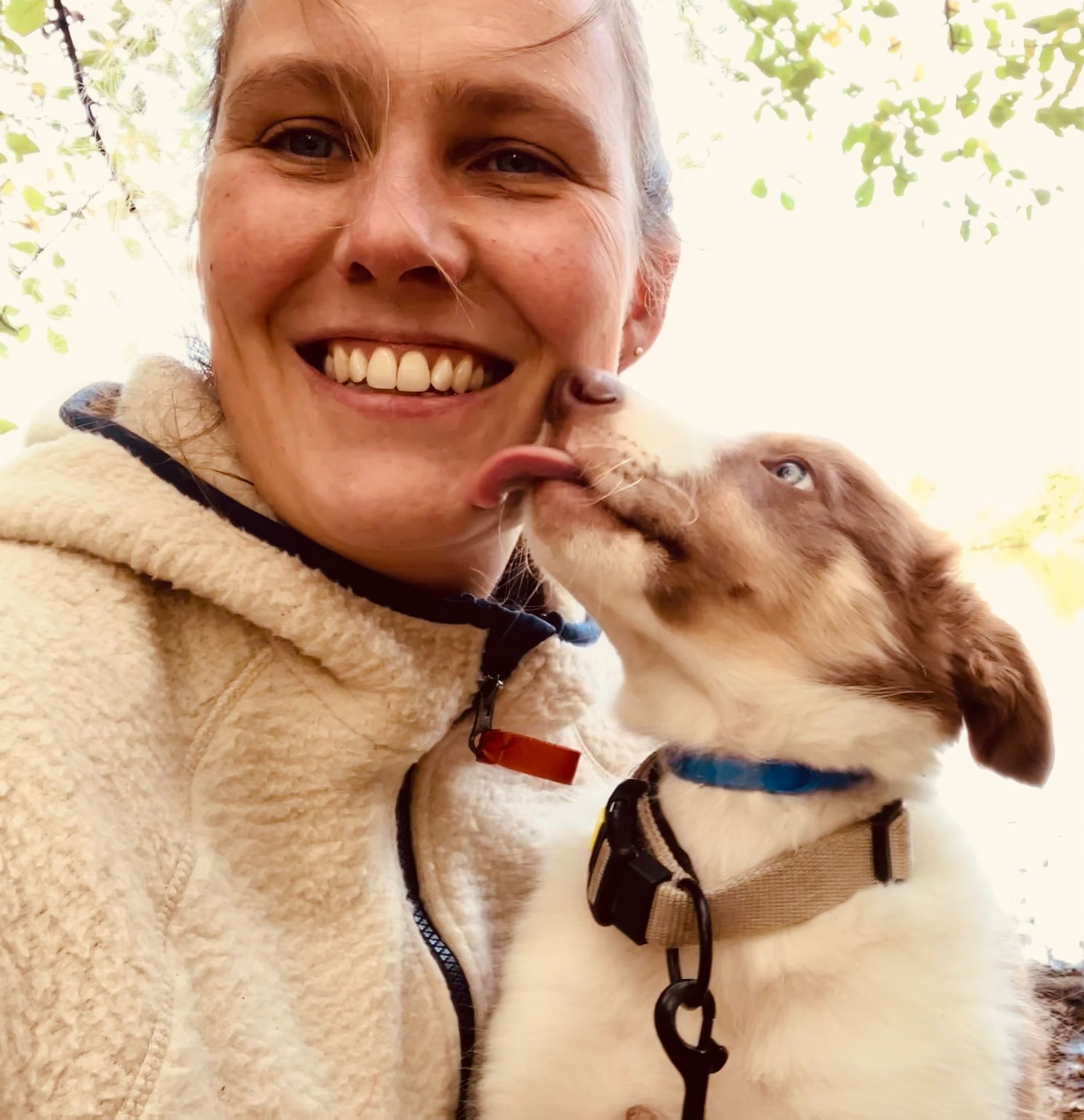 Over ons – Together Alive vzw